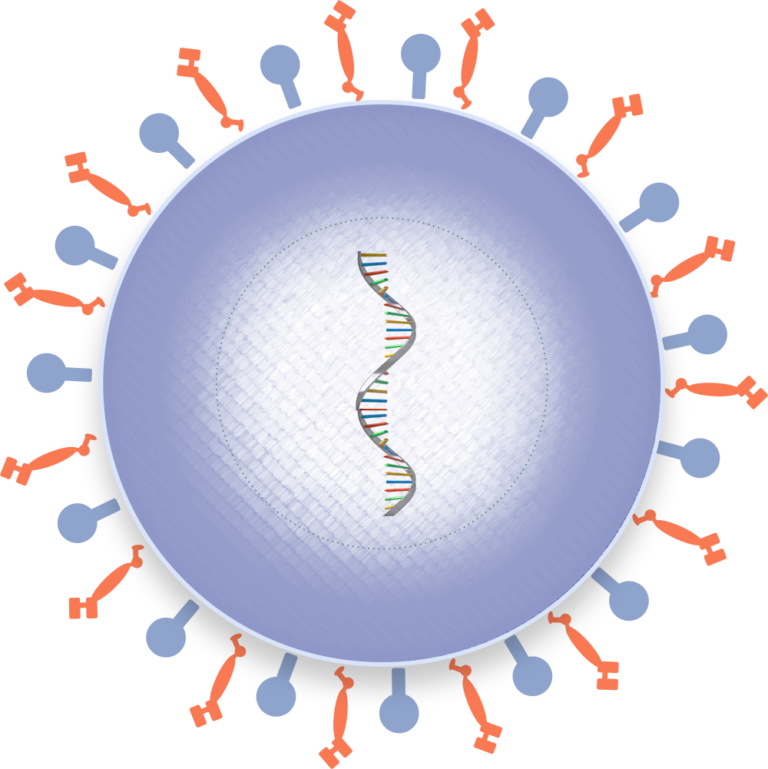 EXUMA Biotech - Clinical-Stage Biotechnology Company