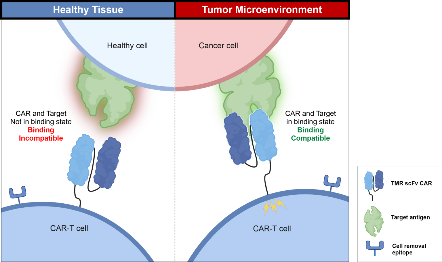 Our Science - EXUMA Biotech
