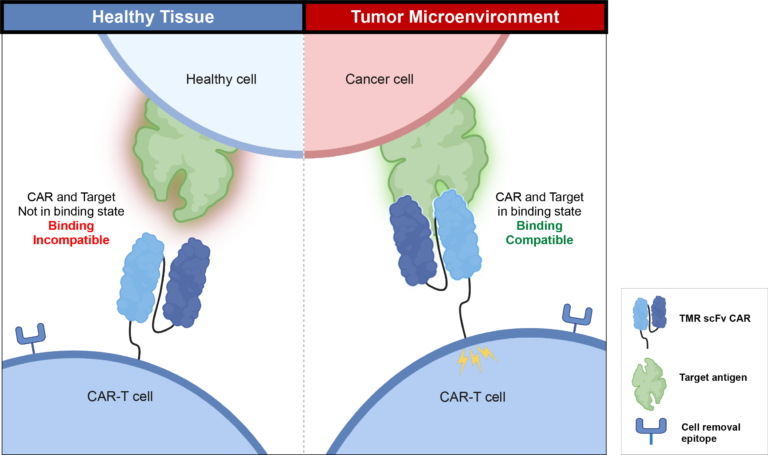 Our Science - EXUMA Biotech