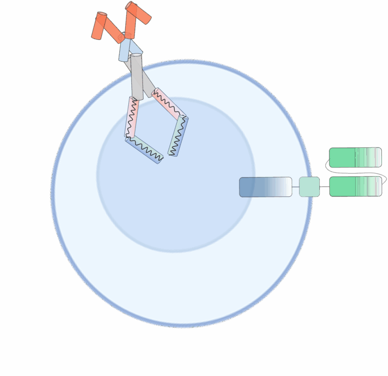 EXUMA Biotech - Clinical-Stage Biotechnology Company