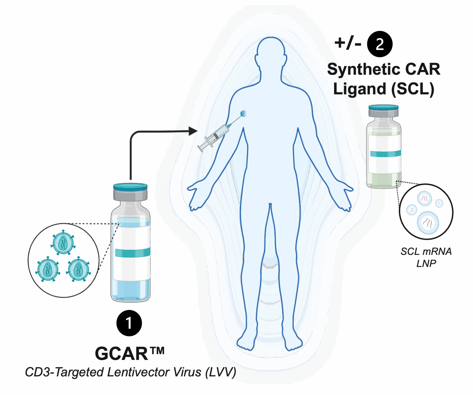 EXUMA Biotech - Clinical-Stage Biotechnology Company