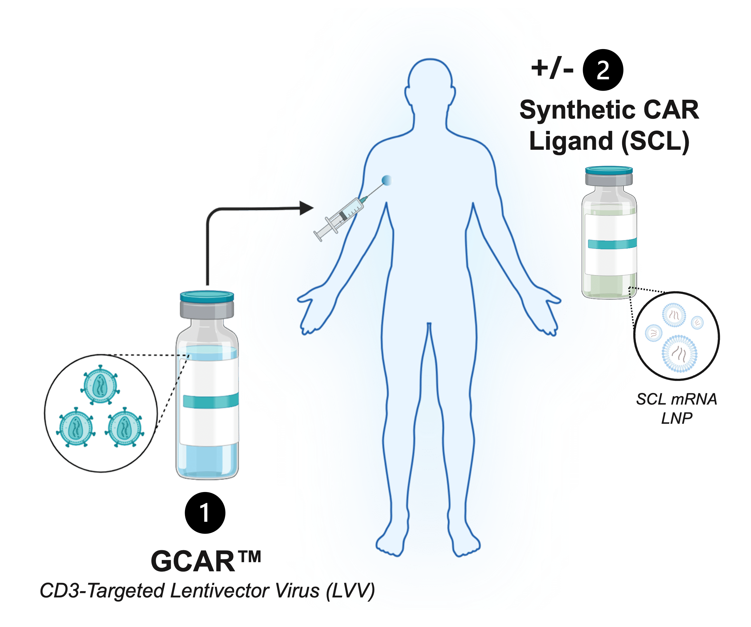 EXUMA Biotech - Clinical-Stage Biotechnology Company